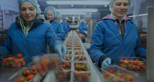 careers_image3 - The Jim Pattison Group